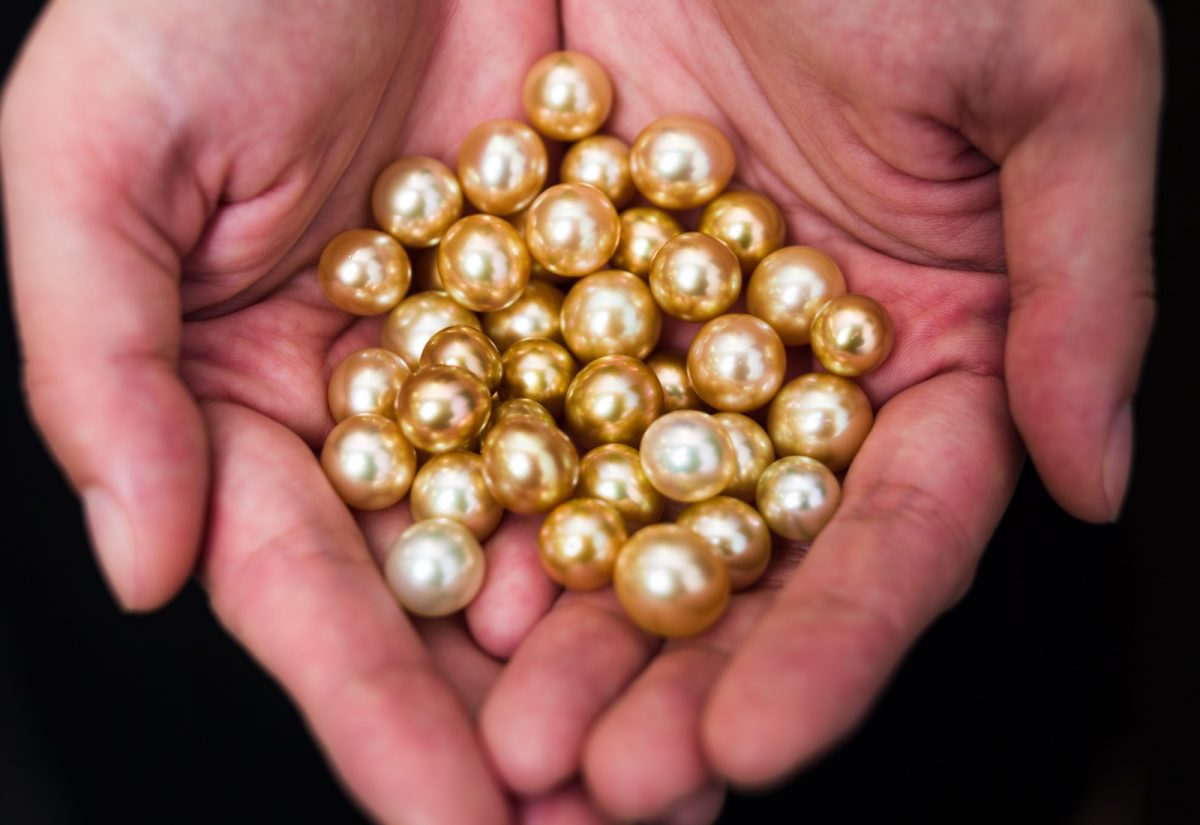 Origins of South Sea Pearls - APJ Pearls