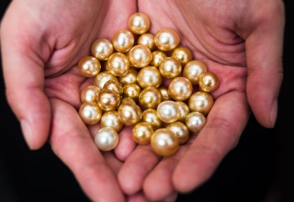 Origins of South Sea Pearls - APJ Pearls
