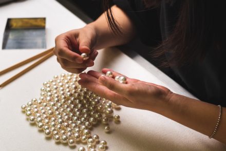 Process of Culturing South Sea Pearls - APJ Pearls